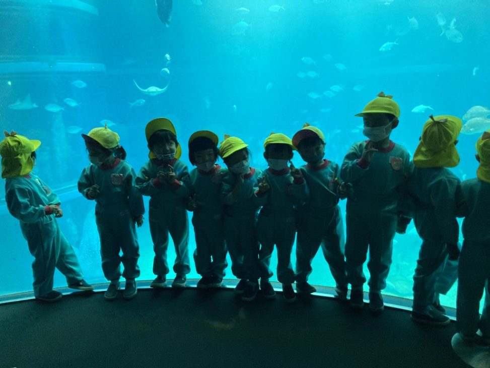 17C0083A-97C1-4D60-A311-C9CC144CA1DF | ようちえんにっき - 英明幼稚園 住吉